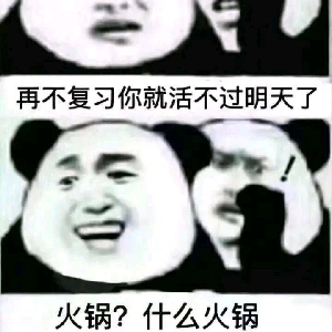 宇宙超级无敌大模王 