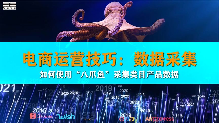 阿里巴巴国际站运营技巧之:如何使用工具采集类目产品数据