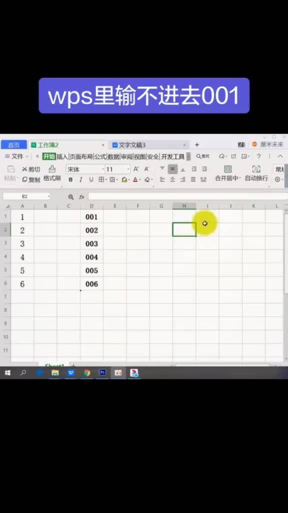 wps001这样的数字如何正确输入