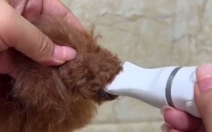 宠物剃毛器多功能狗狗猫咪电推剪静音专用脚毛电推子脚底剪毛神器