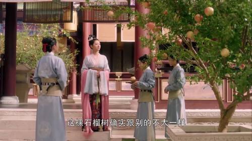 大宋宫词:宠妃多年没子嗣,亲爹派人送取血针,取皇上的血查原因