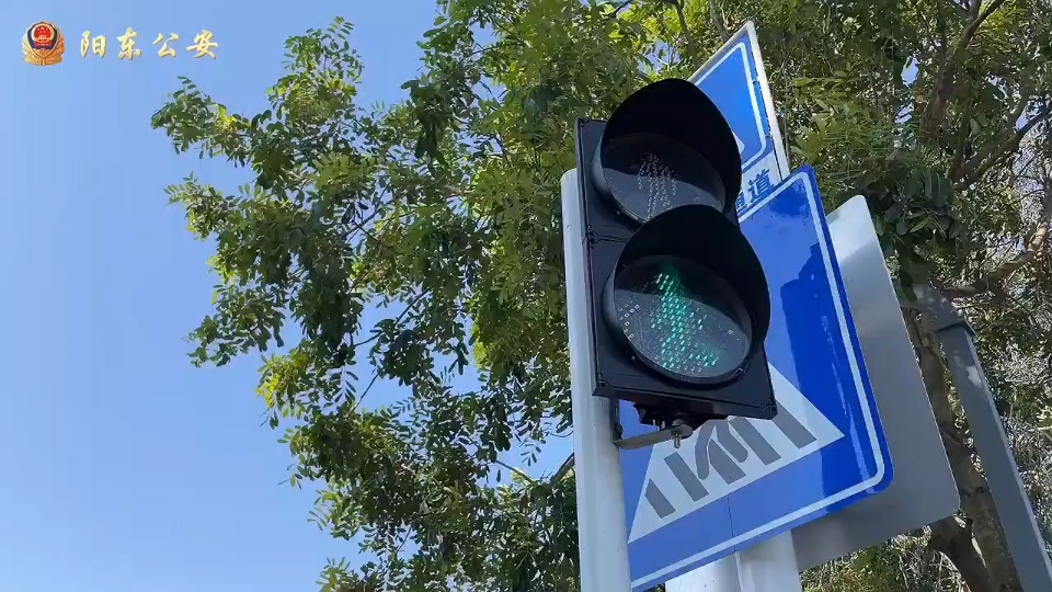 全国交通安全日宣传片《文明交通,你我同行》