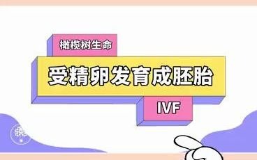 三代试管婴儿:受精卵发育成胚胎过程