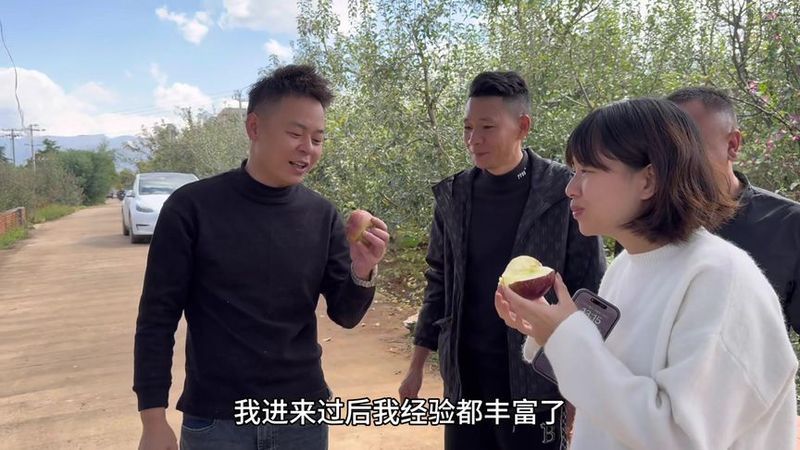 村花的第三个苹果园开卖了!果子又脆又甜口口爆汁,看着太诱人