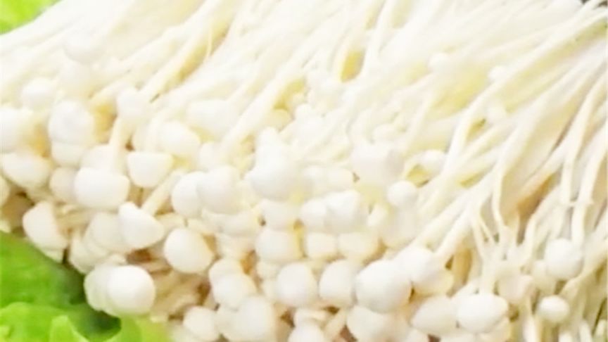 金针菇美誉益智菇 能增强智力 尤其对儿童身高智力的发育有作用