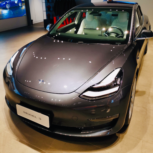 teslainfo 