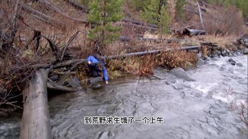 在野外迷路如何才能找到方向?