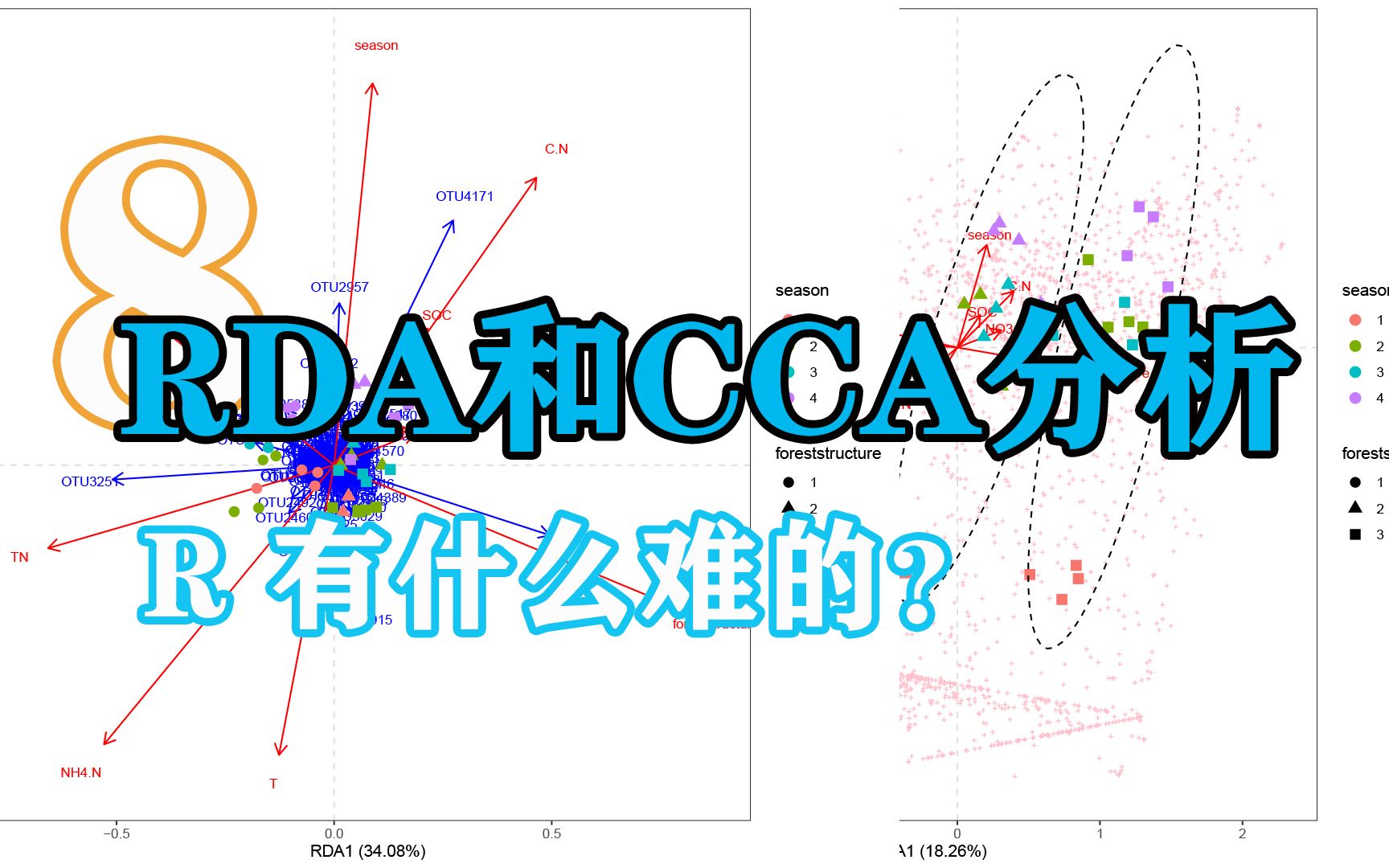 R语言：小白也学得会的RDA分析和CCA分析——晴学R8