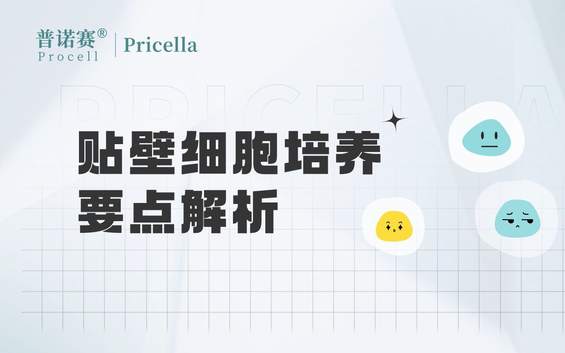 贴壁细胞培养要点和案例介绍