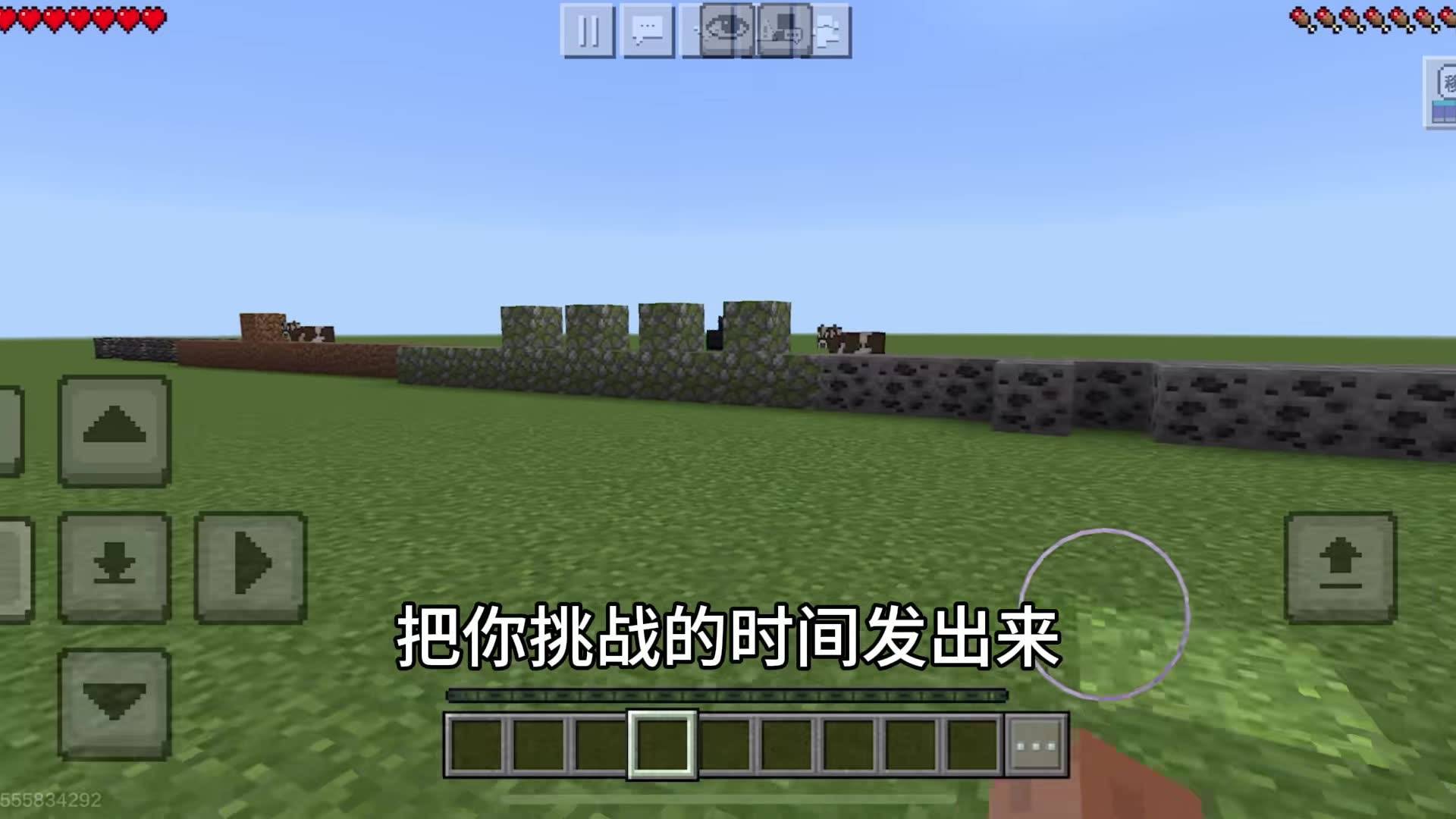 我的世界丨挑战一下