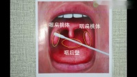 核酸咽拭子采集