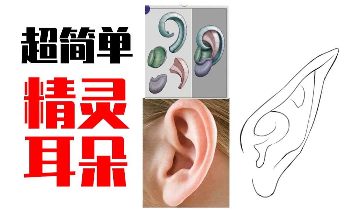 精灵耳朵和普通的有什么不同?应该怎么画?【绘画学习|板绘教程|零...