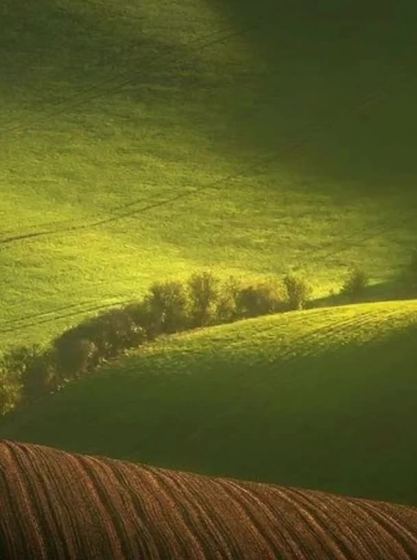 生态环境损害赔偿范围有哪些?董克仁律师一分钟说法千问民法典!