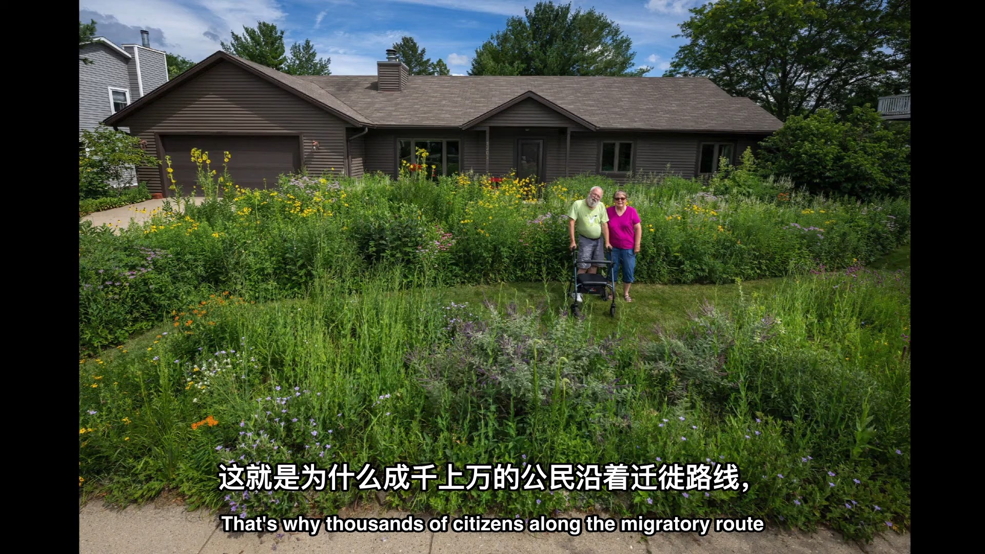 【双语精校】【TED】|神奇而迷人的帝王蝶迁徙 贾梅·罗霍 TED