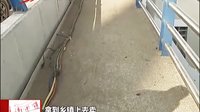 泸渝高速通车 服务民生经济[汇说天下]