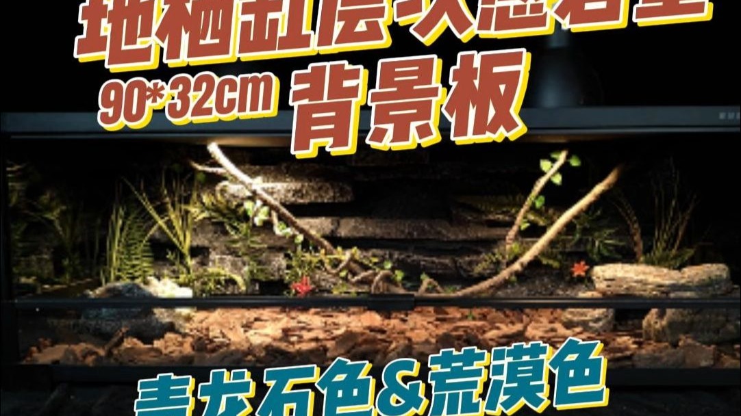 【爬缸造景】90*32cm地栖爬缸造景,轻轻松松享受造景的乐趣和成就感