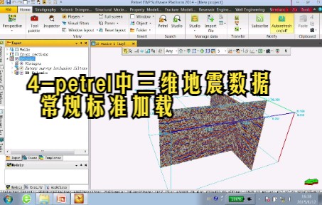 4-petrel中三维地震数据常规标准加载