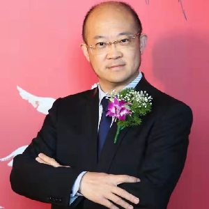 魏镇胜盈科风险管理 