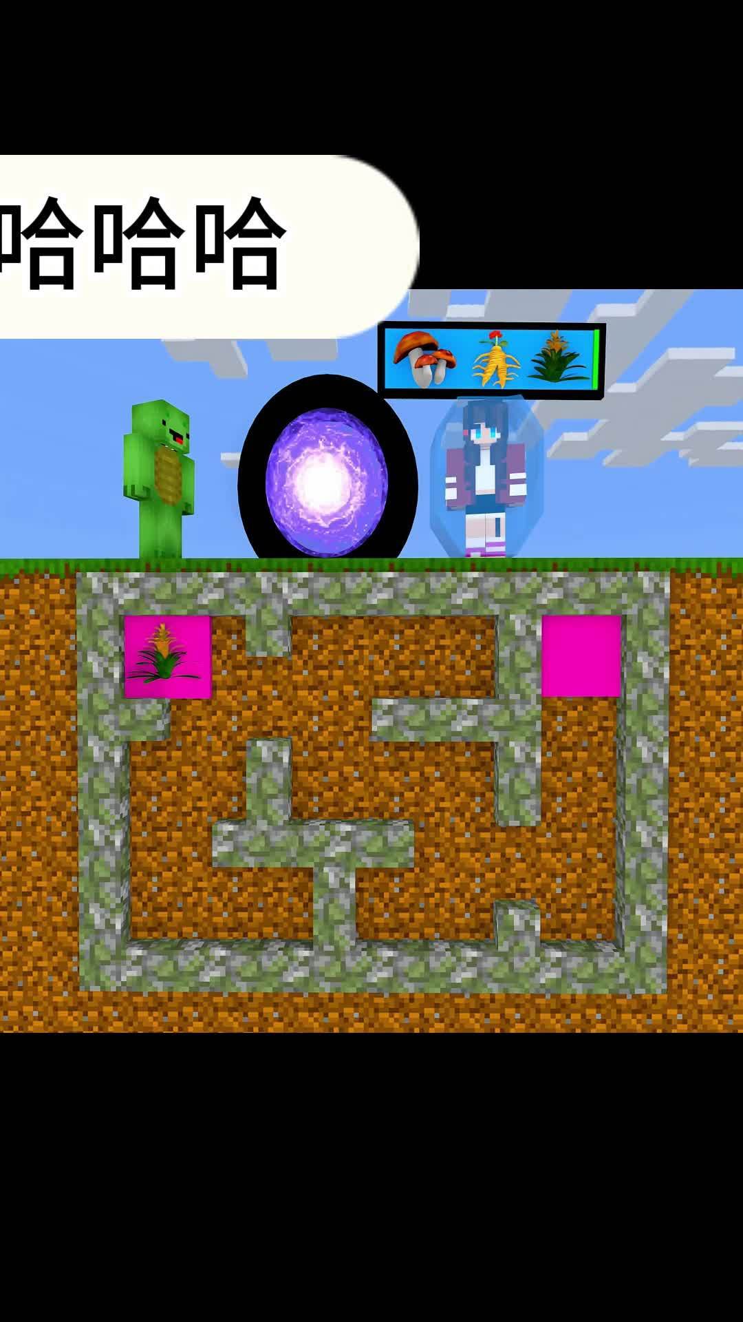 我的世界趣味挑战