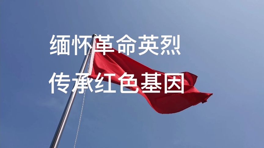 学习百年党史,缅怀革命先烈,传承红色基因,主题教育活动