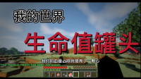 我的世界生命值罐头模组介绍!