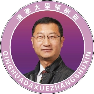 清华张树新意拳大成拳 