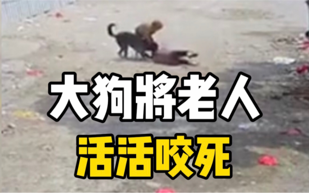 福建一老人街上被狗撕咬身亡，镇政府：公安局正在调查