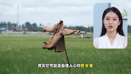 稻草人默默守护的秘密:这5个理由让你瞬间爱上它!