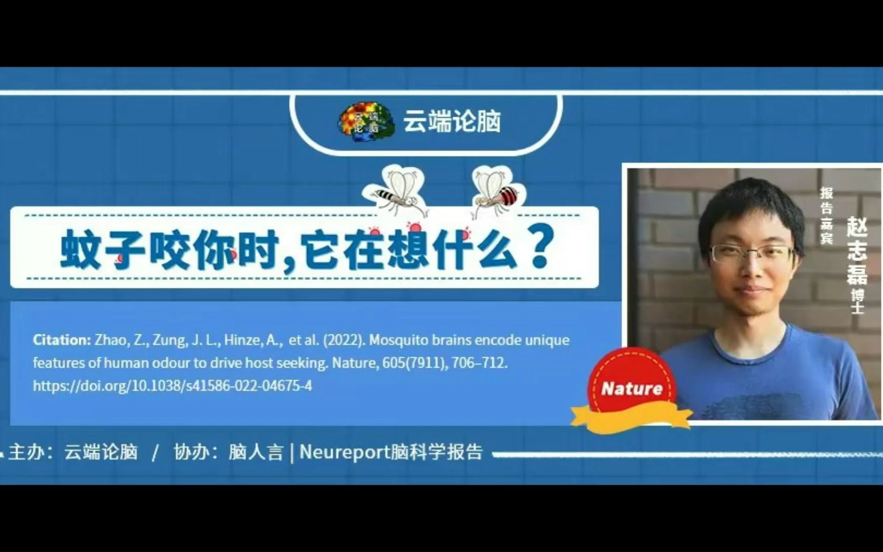 云端论脑 第54期|蚊子咬你时,它在想什么?