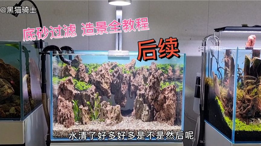 强大的底砂过滤系统,再次升级全教程“让你对草缸造景有新的认知