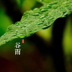 畅读悅写 
