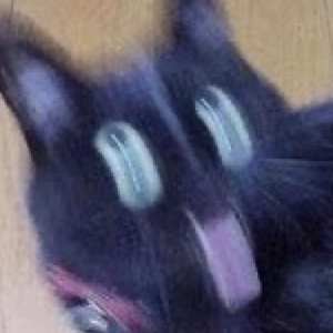 Meow_不是猫 