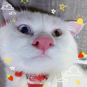 孤寡青年me 
