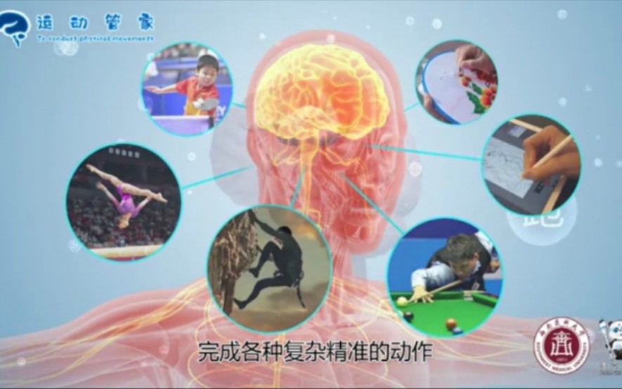 趣味脑科普-运动管家,快来看看身体是怎么完成高难度动作的吧!