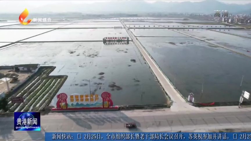 港北区:做大做强稻虾综合种养产业#稻虾 #种养