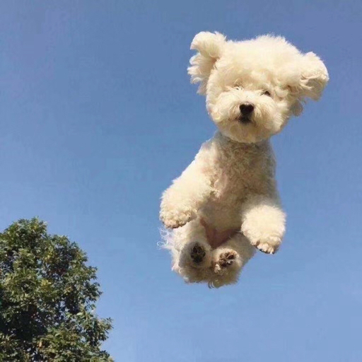 奥特曼爱吃桃 