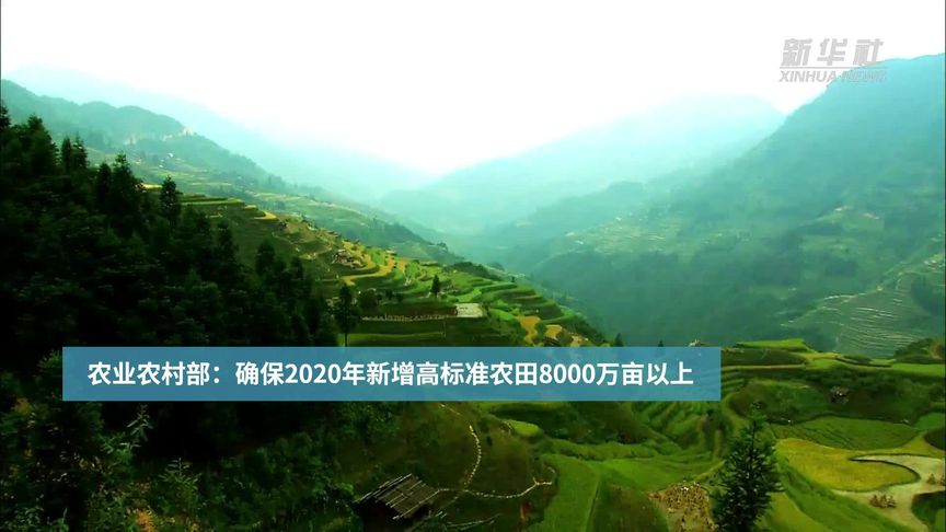 农业农村部:确保2020年新增高标准农田8000万亩以上