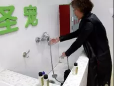 宠物美容培训_贵宾犬洗澡流程视频_圣宠宠物美容学校