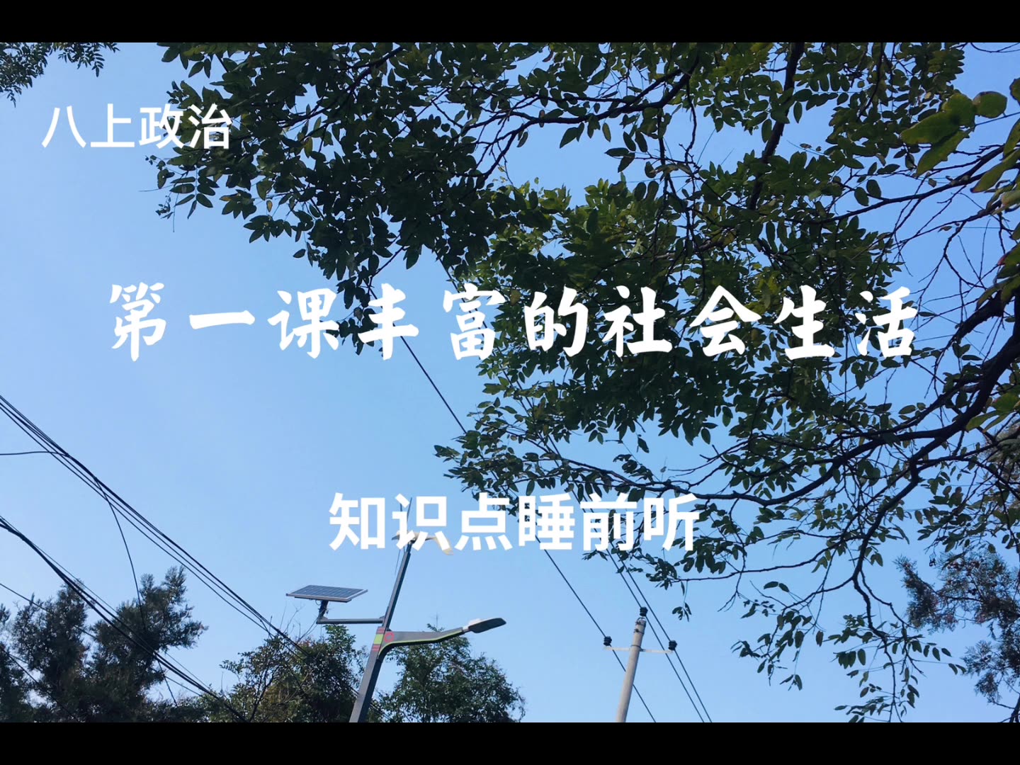 【初中政治·睡前听】八上/初二上政治/道德与治/道法人教版知识点...