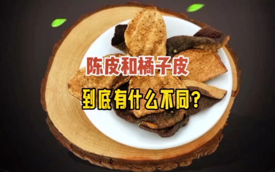 陈皮和橘子皮到底有什么不同?将陈皮泡水喝有哪些好处呢?还有哪些...