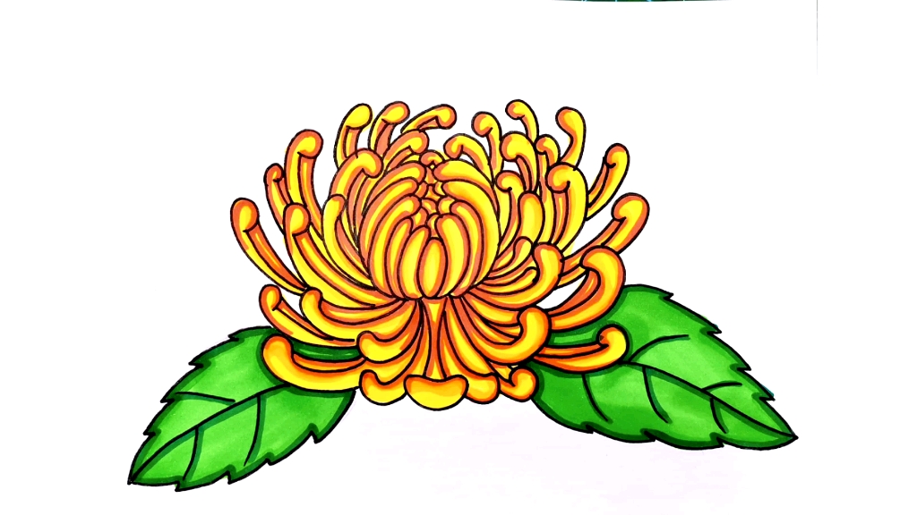 重阳节主题画 菊花画法 菊花简笔画 九九重阳节