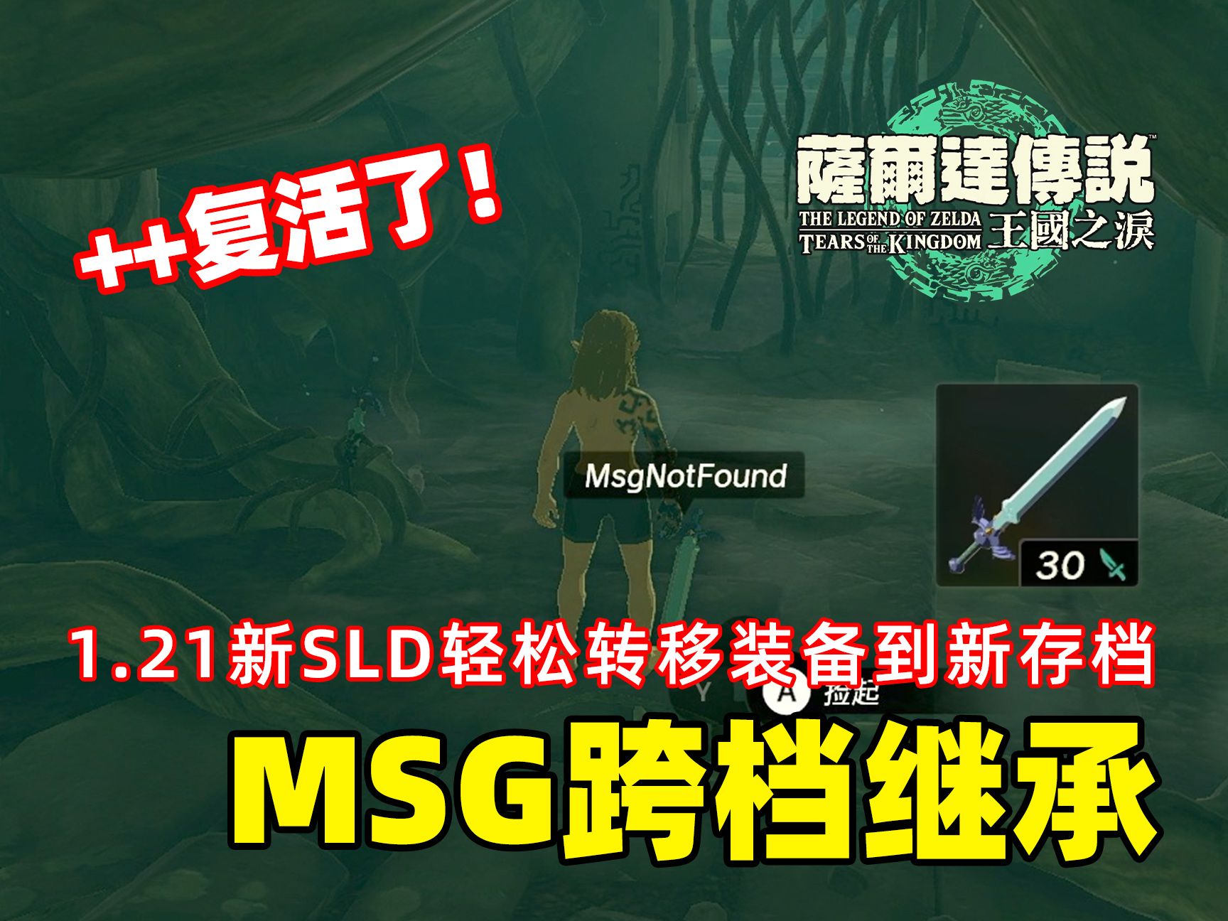 ...存读继承!1.21新SLD轻松继承装备到新存档~【塞尔达传说 王国之泪】