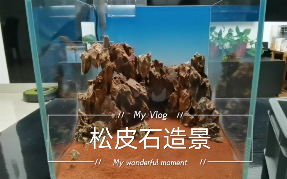 30方缸开缸全过程(四) —松皮石造景