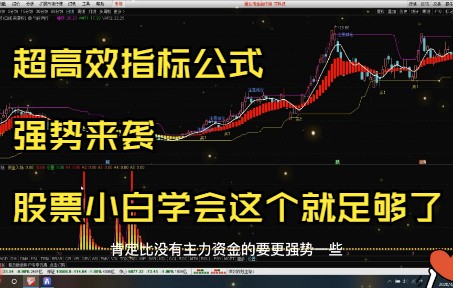 超高效指标公式强势来袭股票小白学会这个就足够了