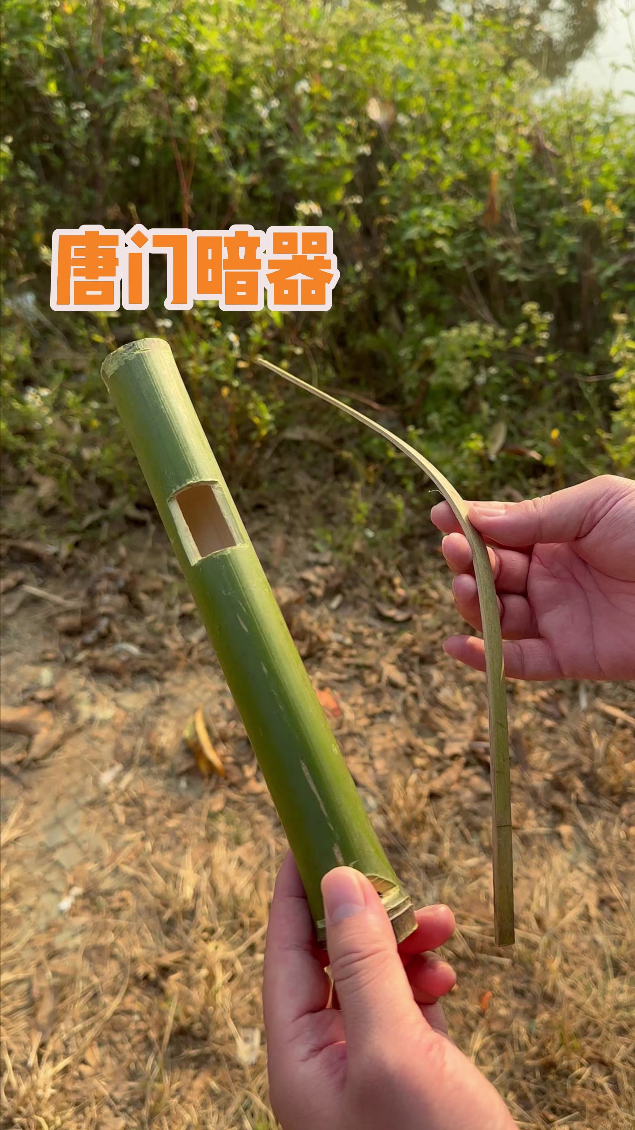 不得不说这玩意是真的帅呀#唐门暗器 #玩个很新的东西