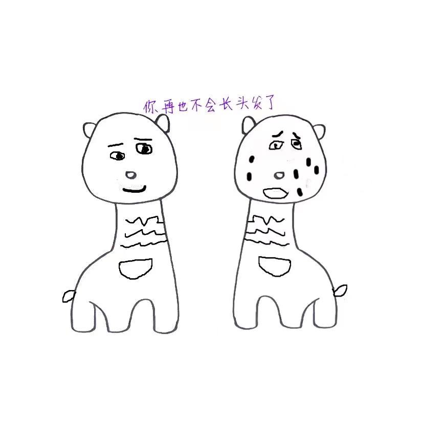 羊驼冷知识 