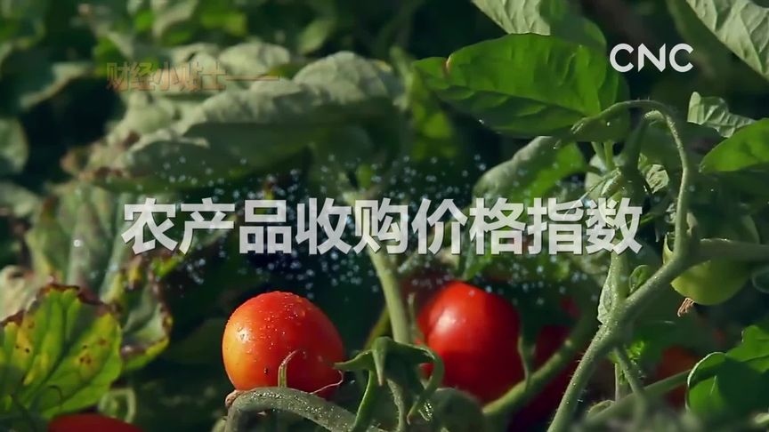 财经小贴士——农产品收购价格指数