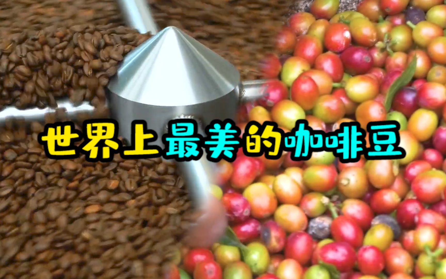 世界上最美的咖啡豆,只能栽种在火山斜坡上,年产量达200万磅