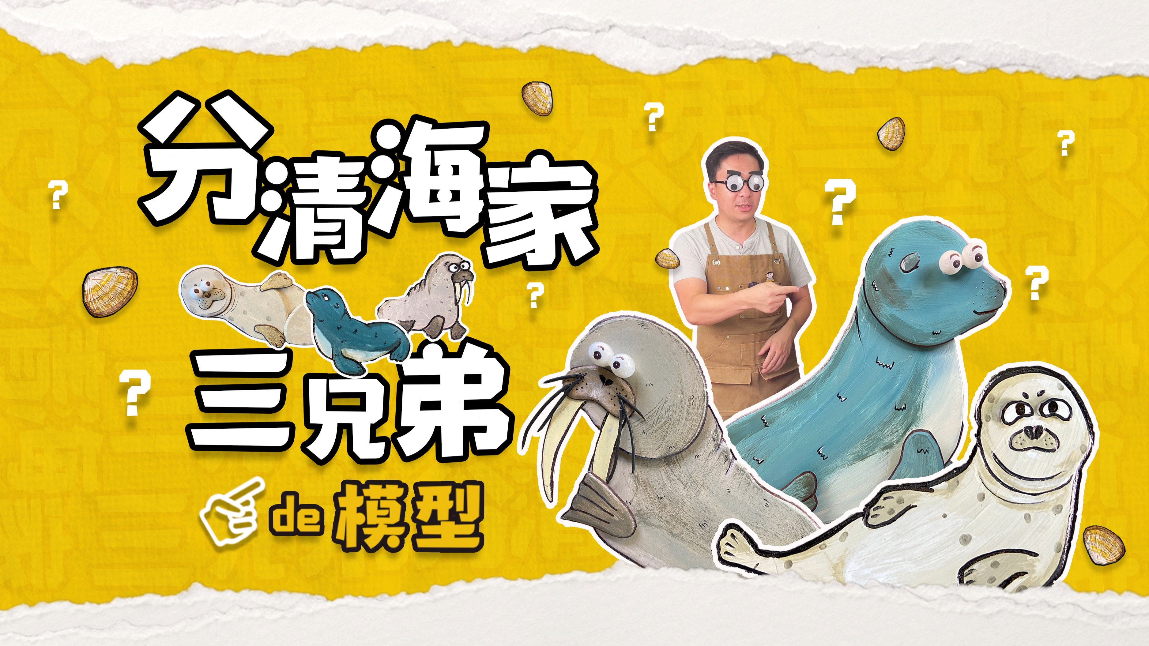 海豹、海狮、海象,你能分清吗?戳视频,模型带你摆脱脸盲!