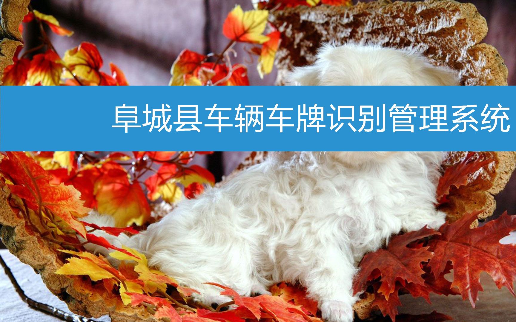 阜城县车辆车牌识别管理系统 (2023年2月22日18时44分7秒已更新)
